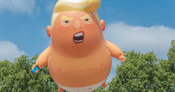 Opinion | Trump a stable genius or an insane genius?