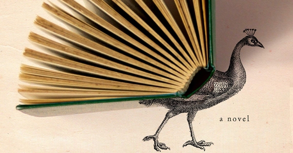 ‘Liar’s Dictionary’ a fab, queer tale for lovers of language