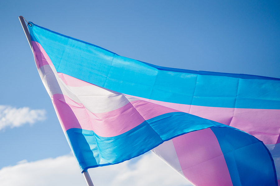Anti-transgender student bill dies in Va. House committee