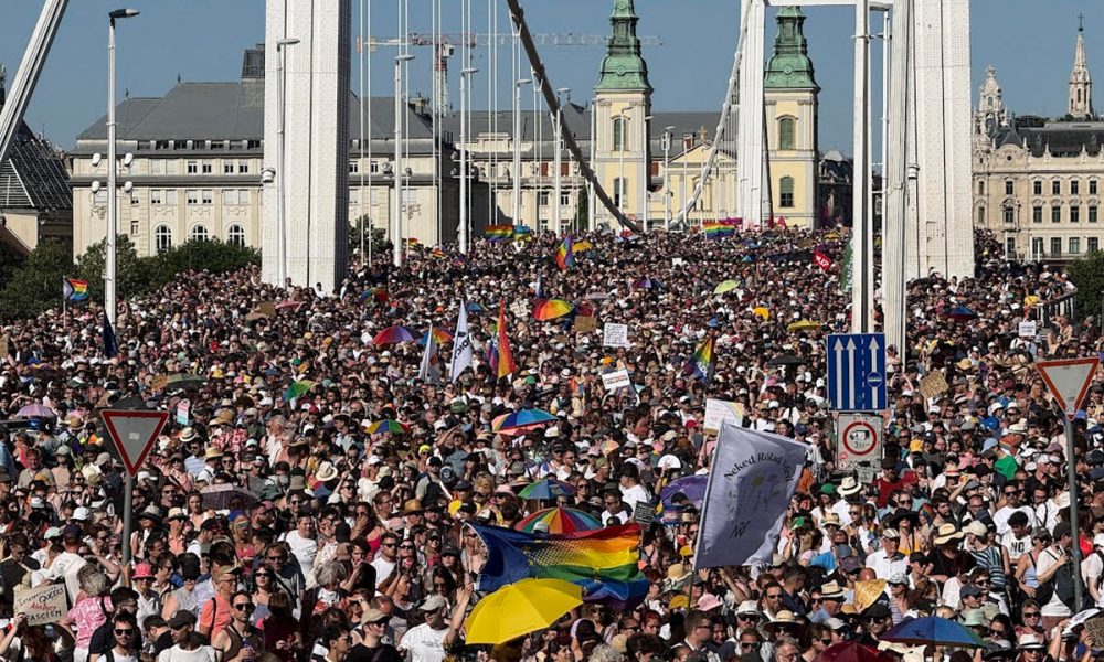 I stopped watching MSNBC and you should too